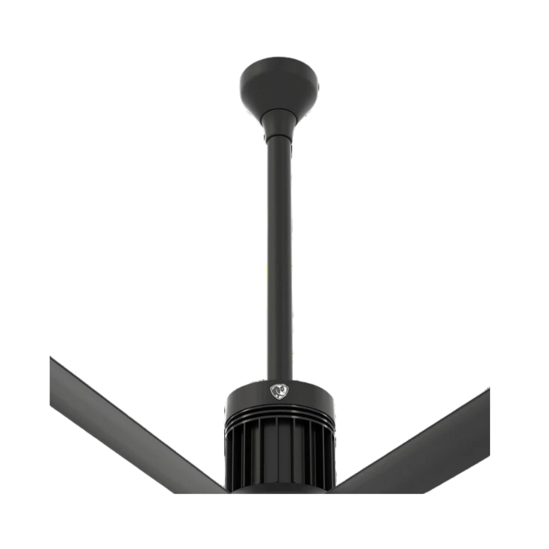 Ceiling Fans | Premium Home Source